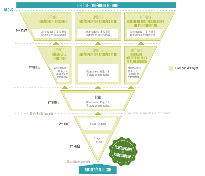 Organigramme des études - ISA NUM - Diplôme d'ingénieur en informatique - Institut Supérieur ...